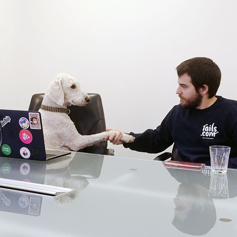 tails.com Jobs and Careers | Welcome to the Jungle (formerly Otta)